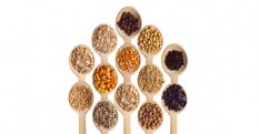 Whole Grains: Good or Bad? - Center for Nutrition Studies