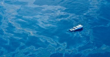 America the Beautiful: Swimming in the Slurry - Center for Nutrition ...