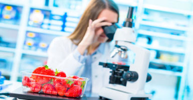 Scientific Reductionism Detracts from Whole Food, Plant-Based Message ...