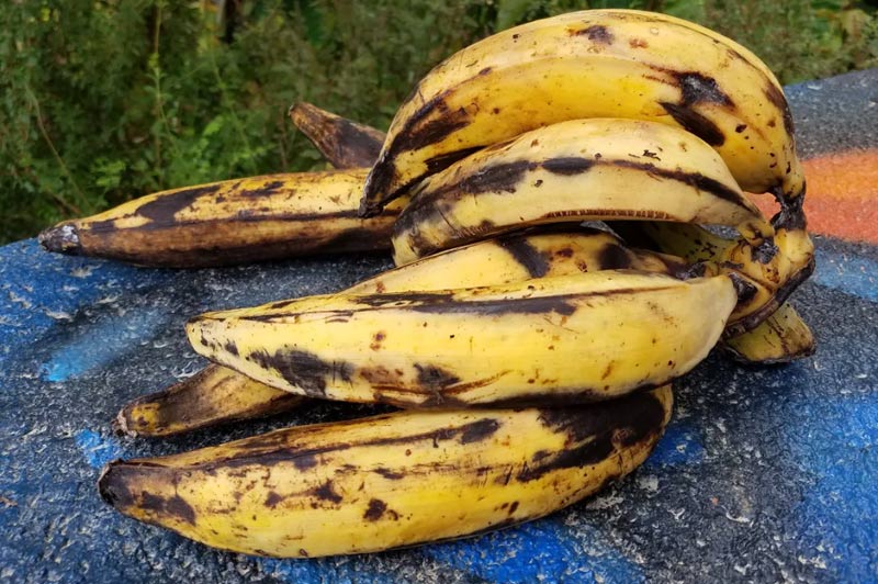 5 Ways to Cook and Prepare Ripe Plantains - Center for Nutrition Studies