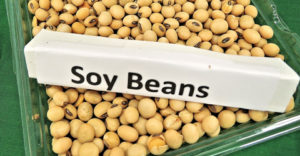 3 Myths About Soy - Setting the Record Straight - Center for Nutrition ...