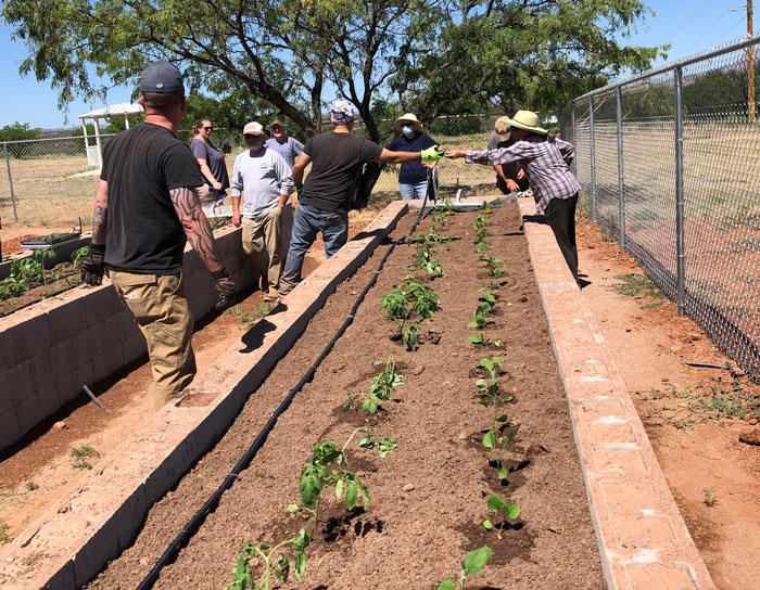 Arizona Community Garden Teaches Food Literacy and Creates Food ...
