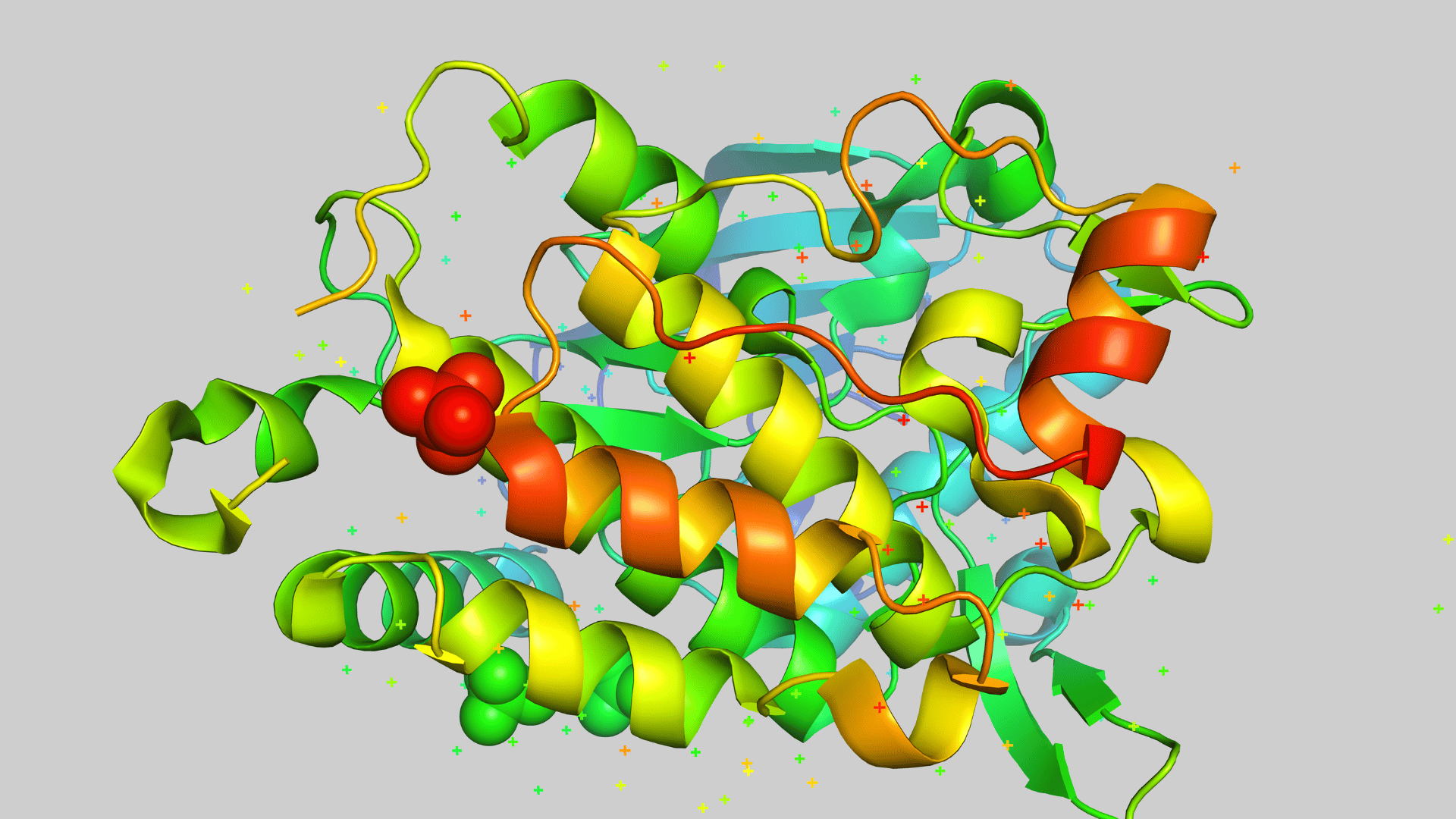 Generalidades de la proteína - Centro de Estudios en Nutrición